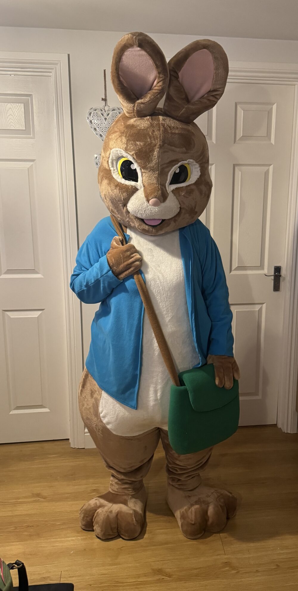 Peter Rabbit - Event Mascots Costume Hire
