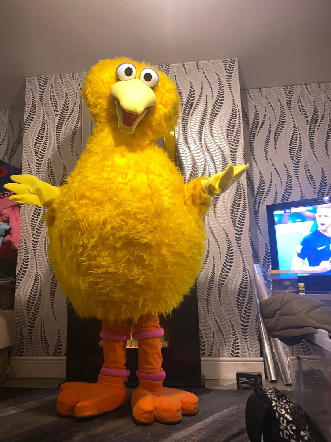 Big Bird - Event Mascots Costume Hire