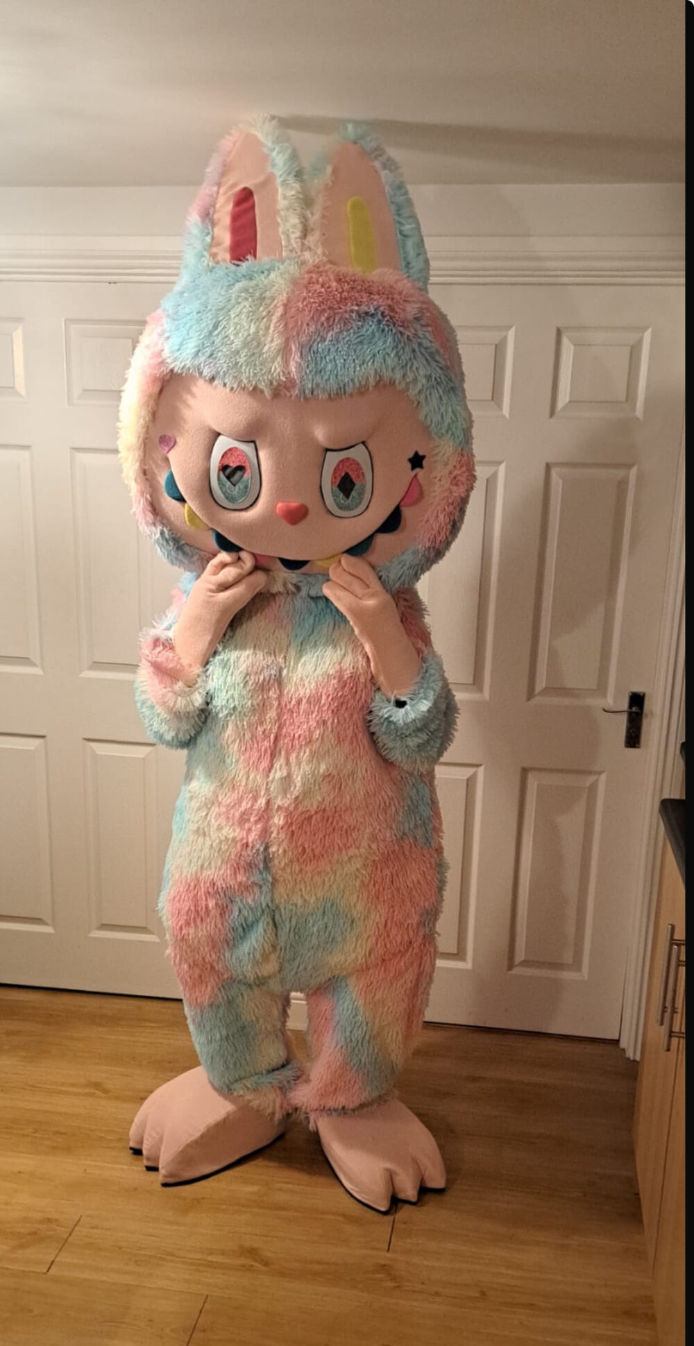Labubu Rainbow Mascot - Event Mascots Costume Hire